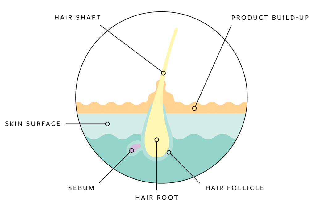 product-build-up_diagram | F.Y.I. – Function of Beauty Blog