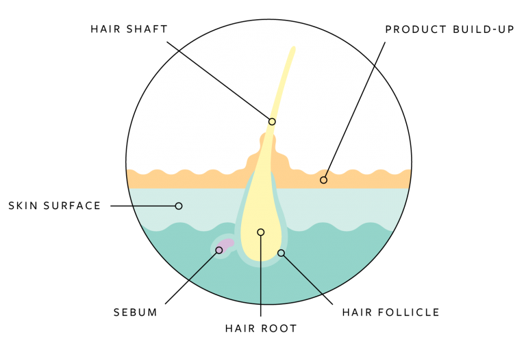 Product Build-Up: What It Is And What To Do About It | F.Y.I.