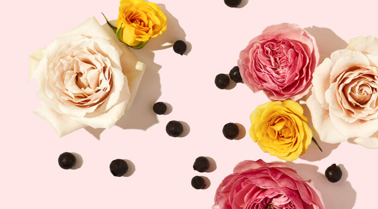 Which Function Fragrance Is Perfect for You? | F.Y.I. – Function of ...